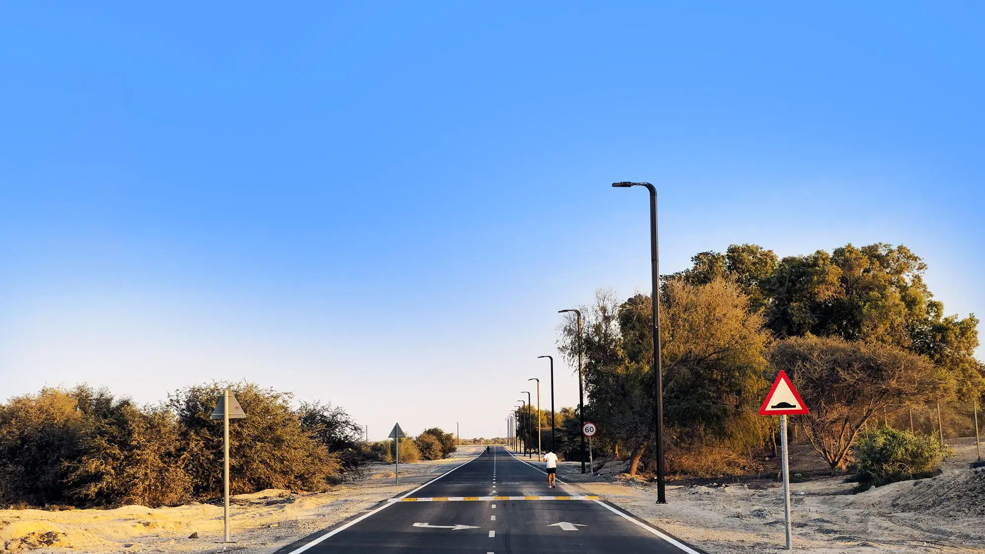 Solar Roadway Lighting|80W smart solar light